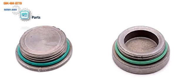 Nút bịt bánh răng cam xe Cruze GM# 55557288, 55571241